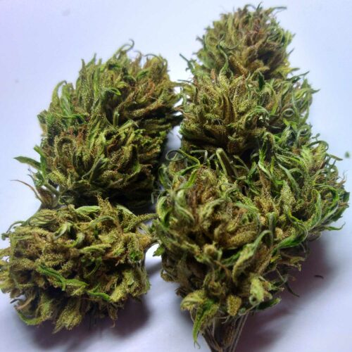 USDA Certified Organic Hemp Flower | Grown in USA | Ships Free